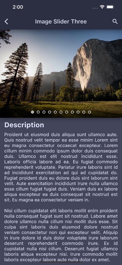iCodes UI - Flutter by IndoCodes | CodeCanyon